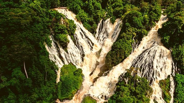 Découvrez les merveilles naturelles du Gabon : parcs nationaux...