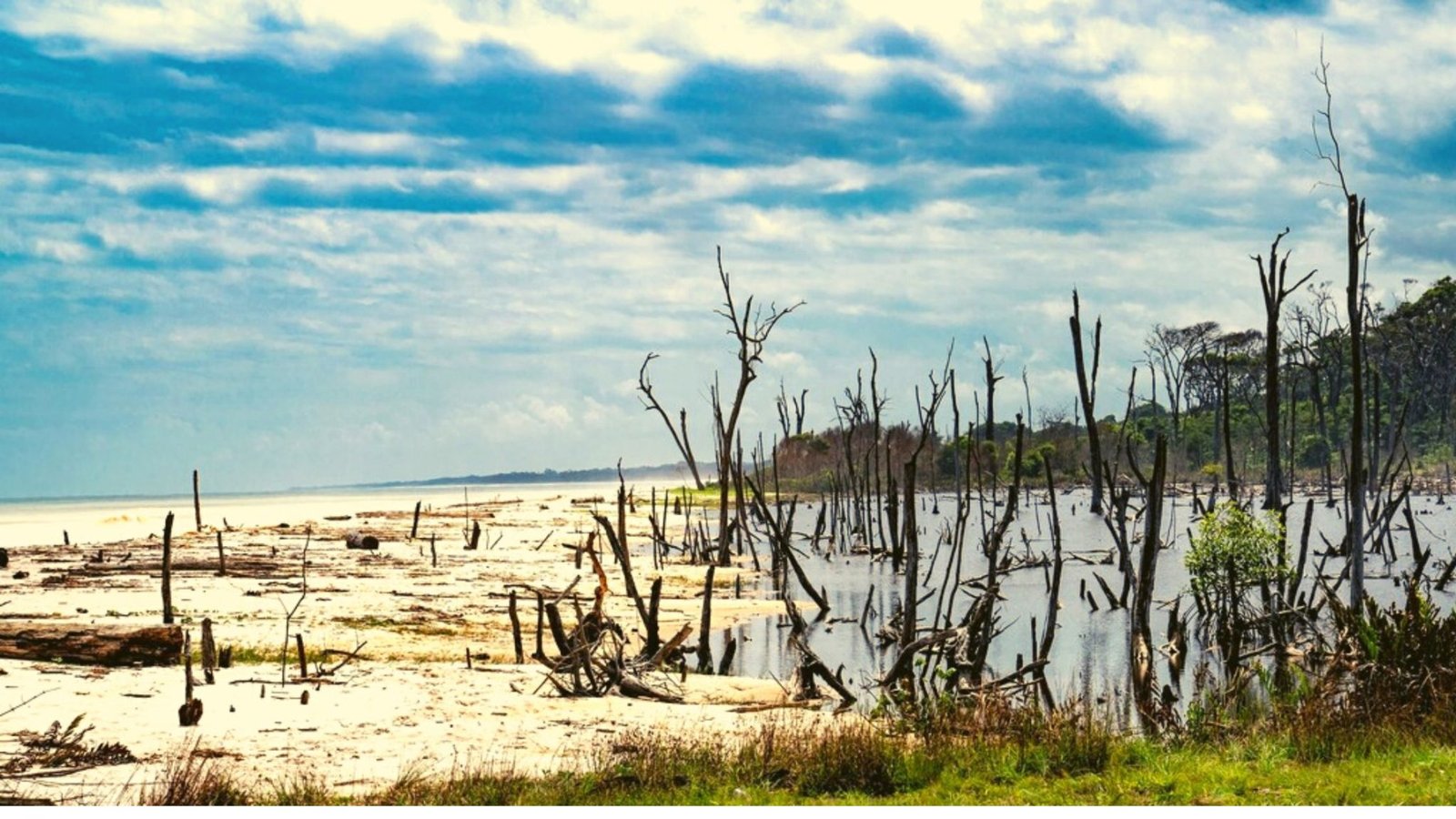 Découvrez les merveilles naturelles du Gabon : parcs nationaux...